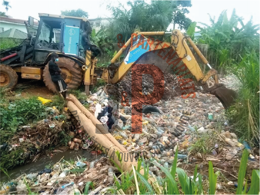 Biyem-assi: L’association Think Green assainie une rivière - Site d ...